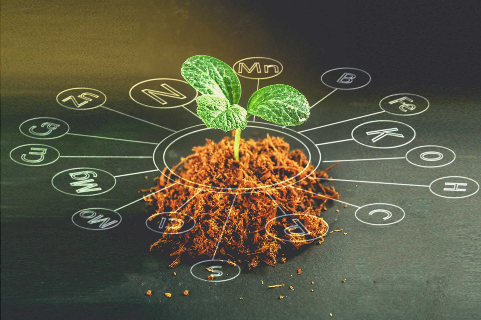 Active STABILIZER™ PLUS - Active AgriScience