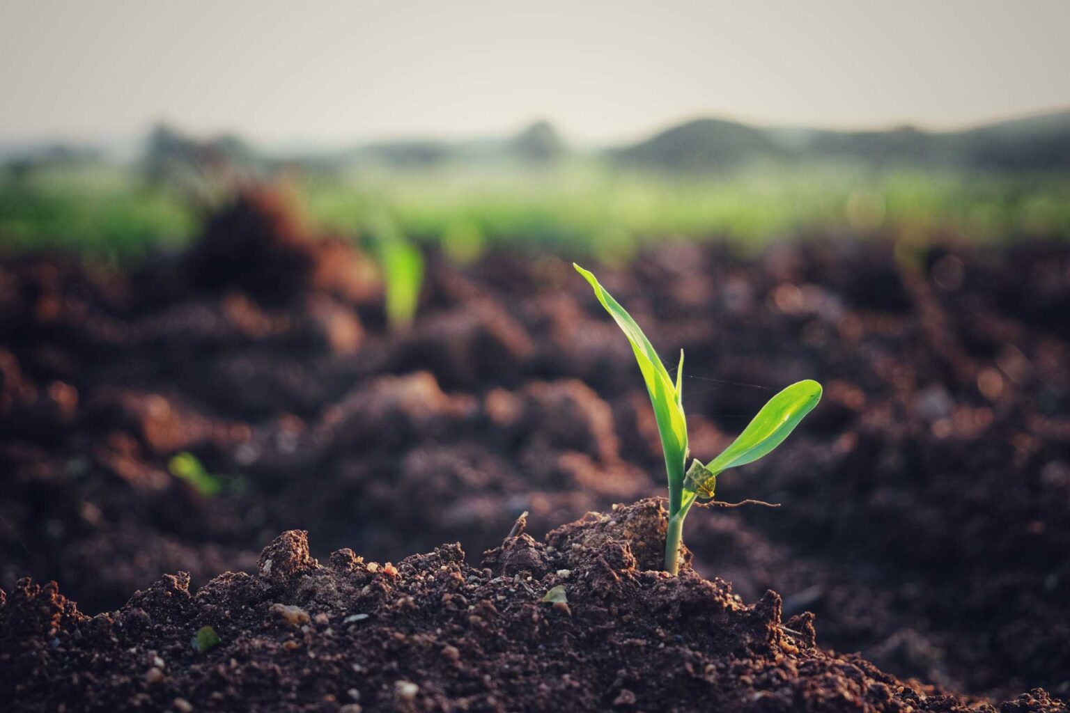 Active PRIME™ - Active AgriScience