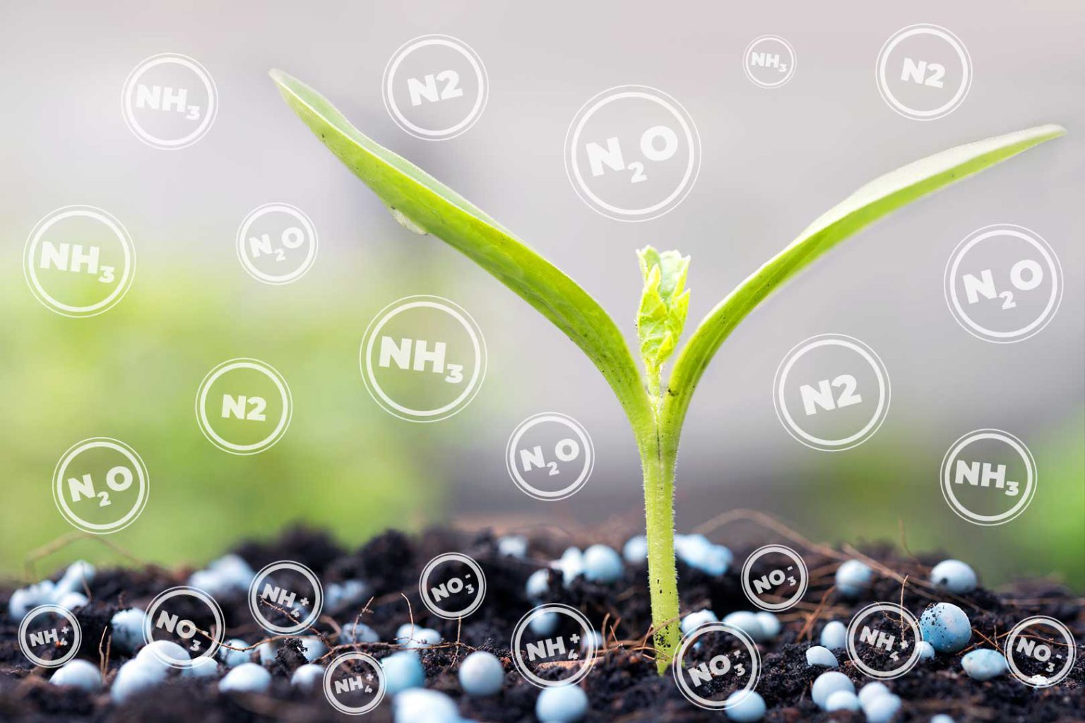 ARM U™ 30% NBPT - Active AgriScience